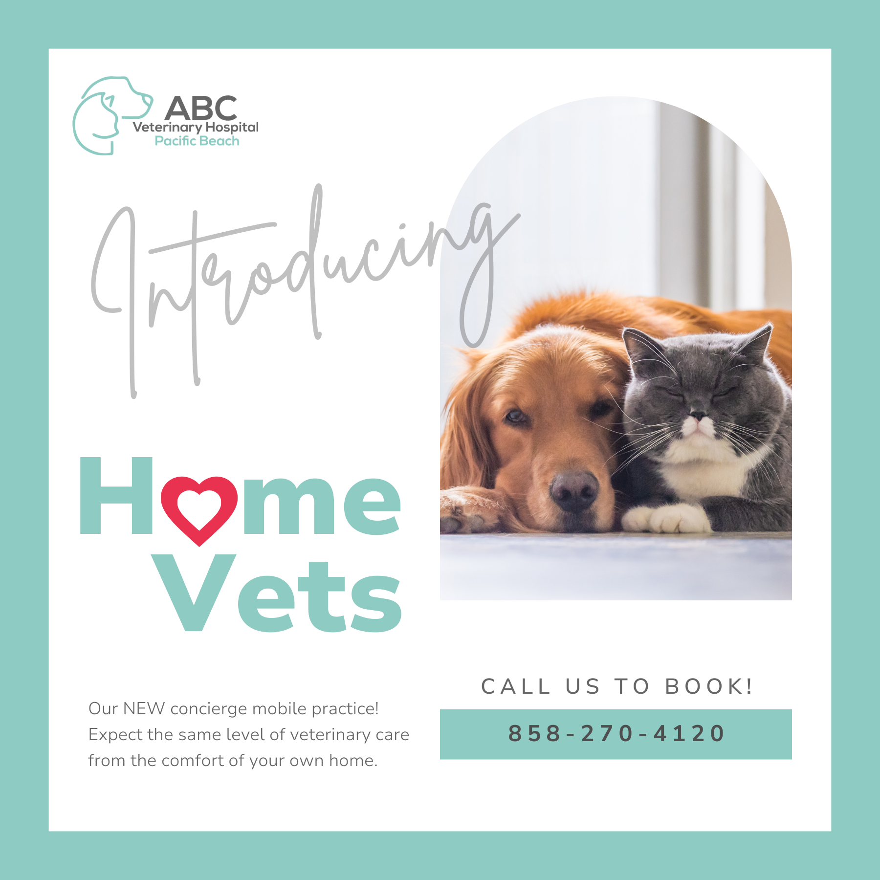 Best Vet Hospital In San Diego, CA | ABC Veterinary Hospital