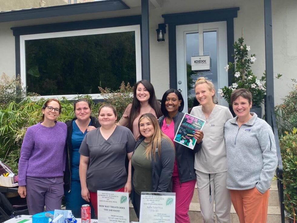 Community Outreach | ABC Veterinary Hospital Pacific Beach